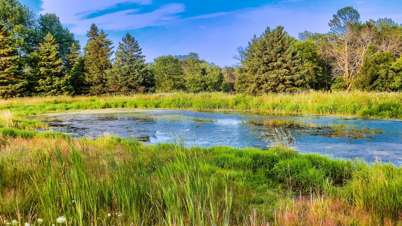 Photography by Richard Bublitz, New Berlin, Wisconsin: Forest Beach ...