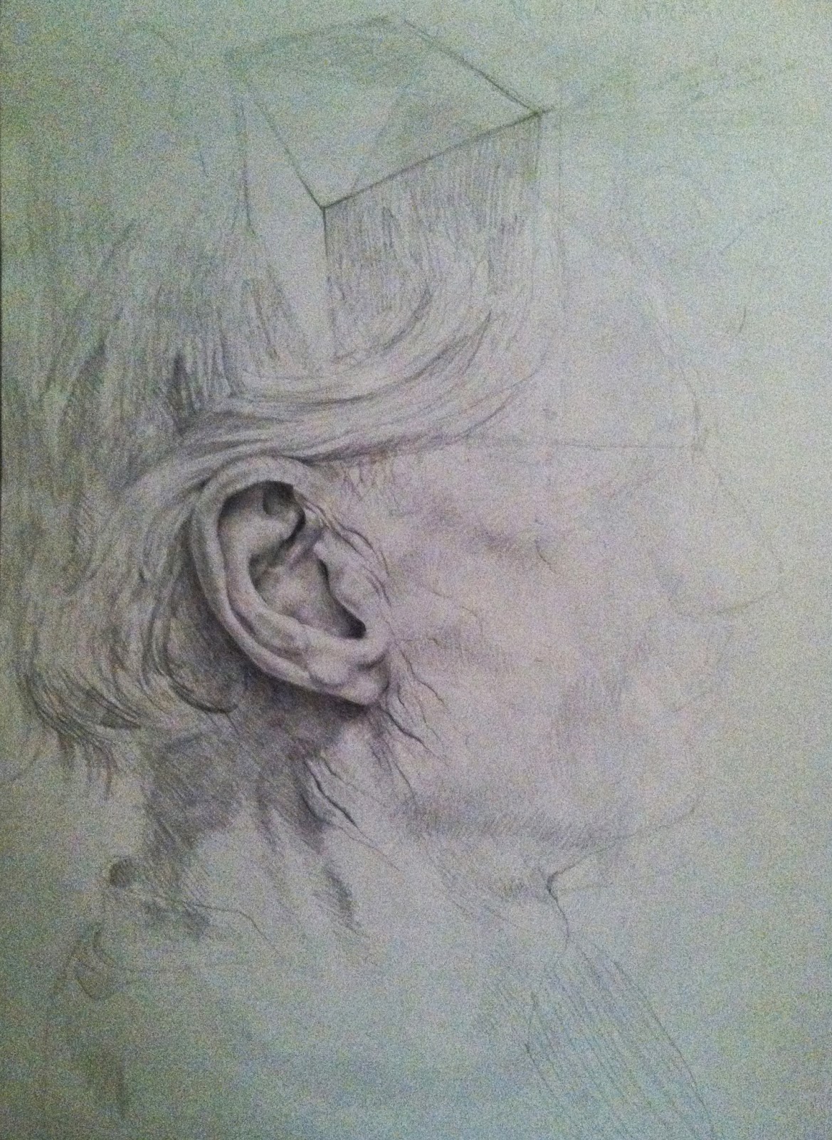 Creativity Unhinged: Artist and Passion: Human Head Drawing Part 2