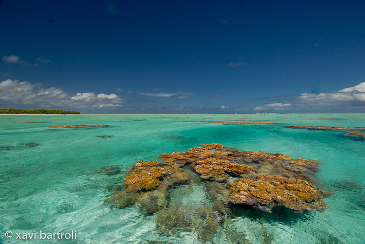 Un planeta lleno de islas: Les sables roses, Rangiroa