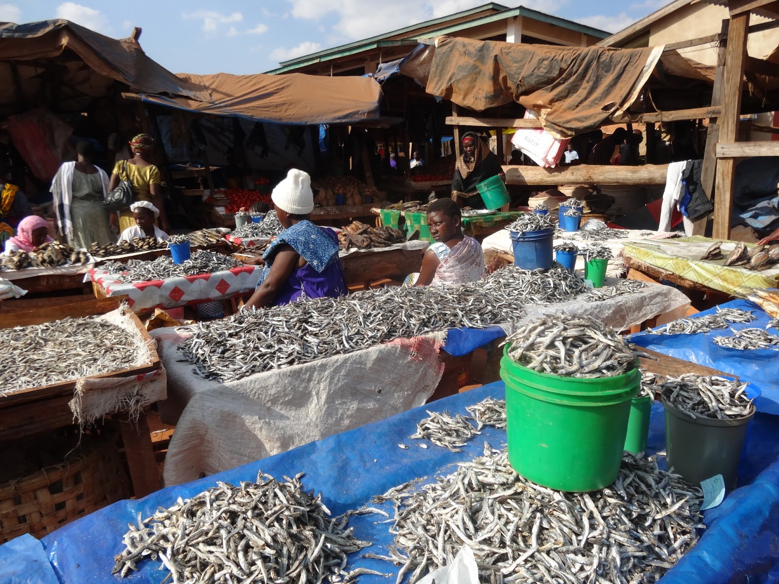 CATHY - HABARI: WANAFUNZI WA SHULE YA SEKONDARI MSAMALA SONGEA ...