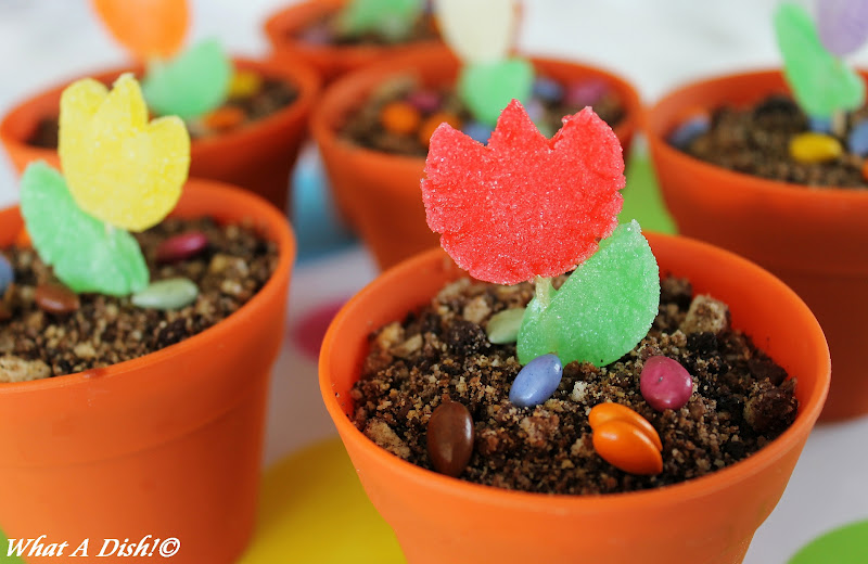 What A Dish!: Summer Flower Pots