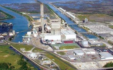 Crystal River Nuclear Plant Containment Crack - recurs