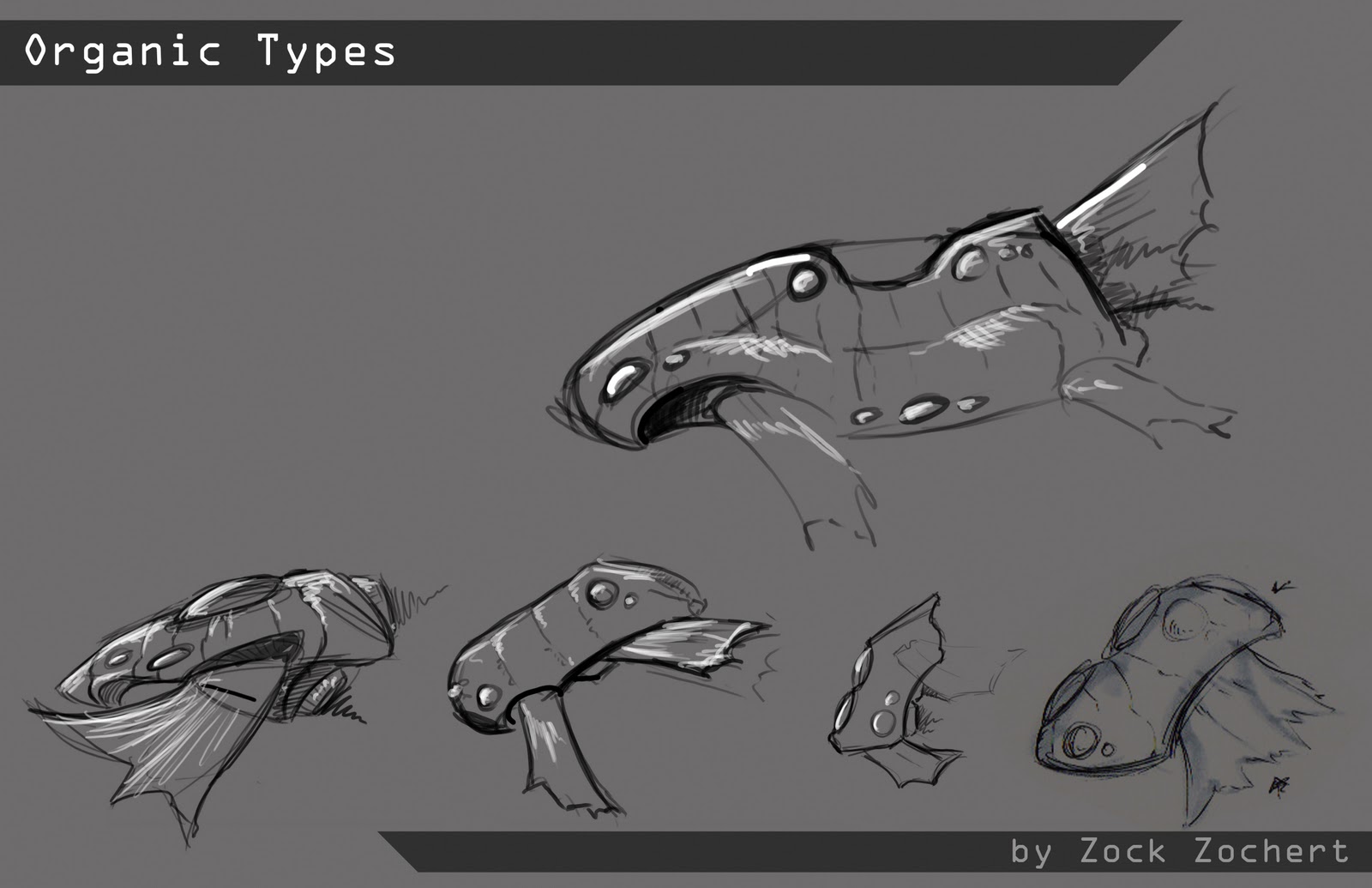 Zock Zochert's Art: Organic spaceship Concept