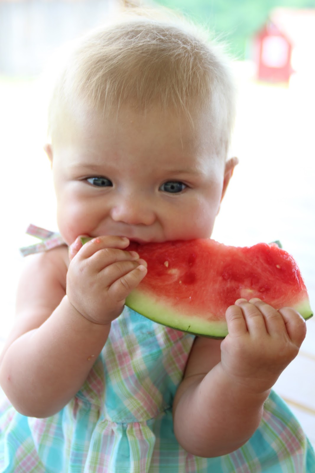 Renaissance: Watermelon Baby