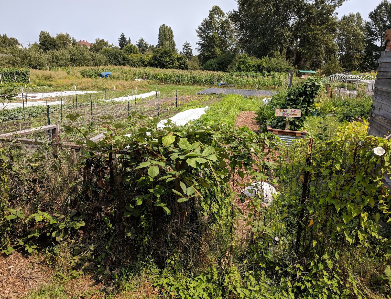 Eden By The Bay: Fall Festival at Marra Farm