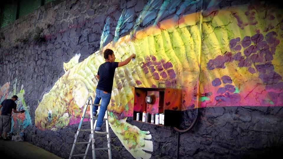 TAMPICOTRANCE | : NATURISTA GRAFF | DUOTAG