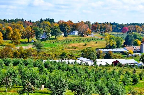 New England Weekend | Denim on Denim - Katie's Bliss