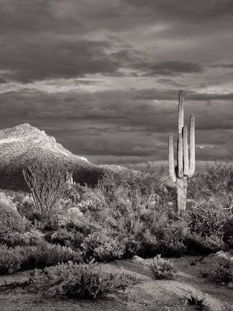 October 2014 ~ Steven Dempsey on Photography