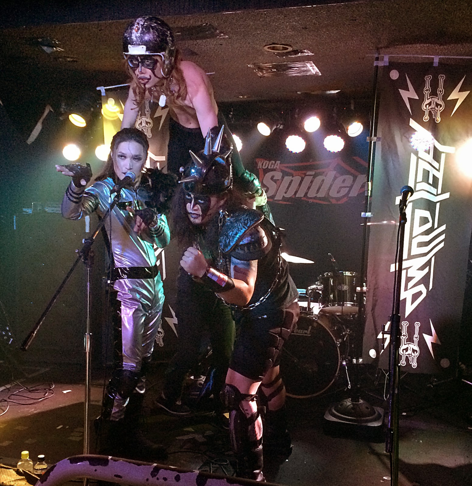 HELL DUMPとかD'ERLANGERとか: 2014