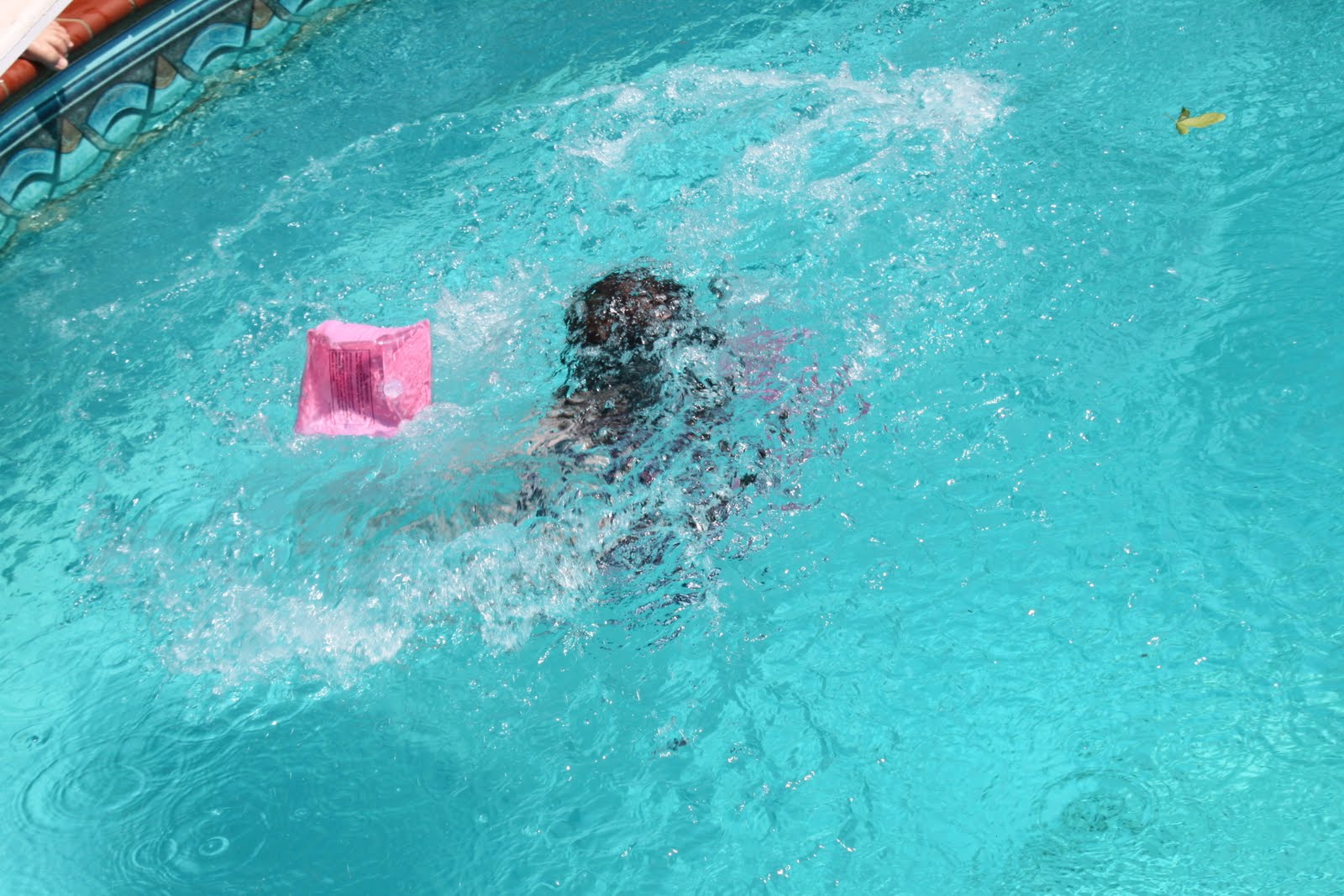 Mojoy: Swimming in April!