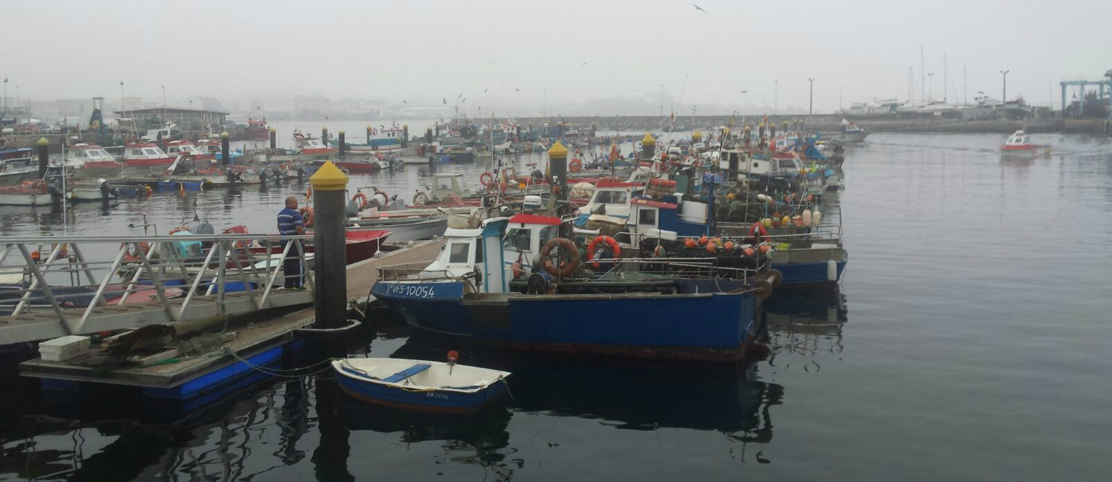 eeclach Pintorón: Cangas I, Galicia