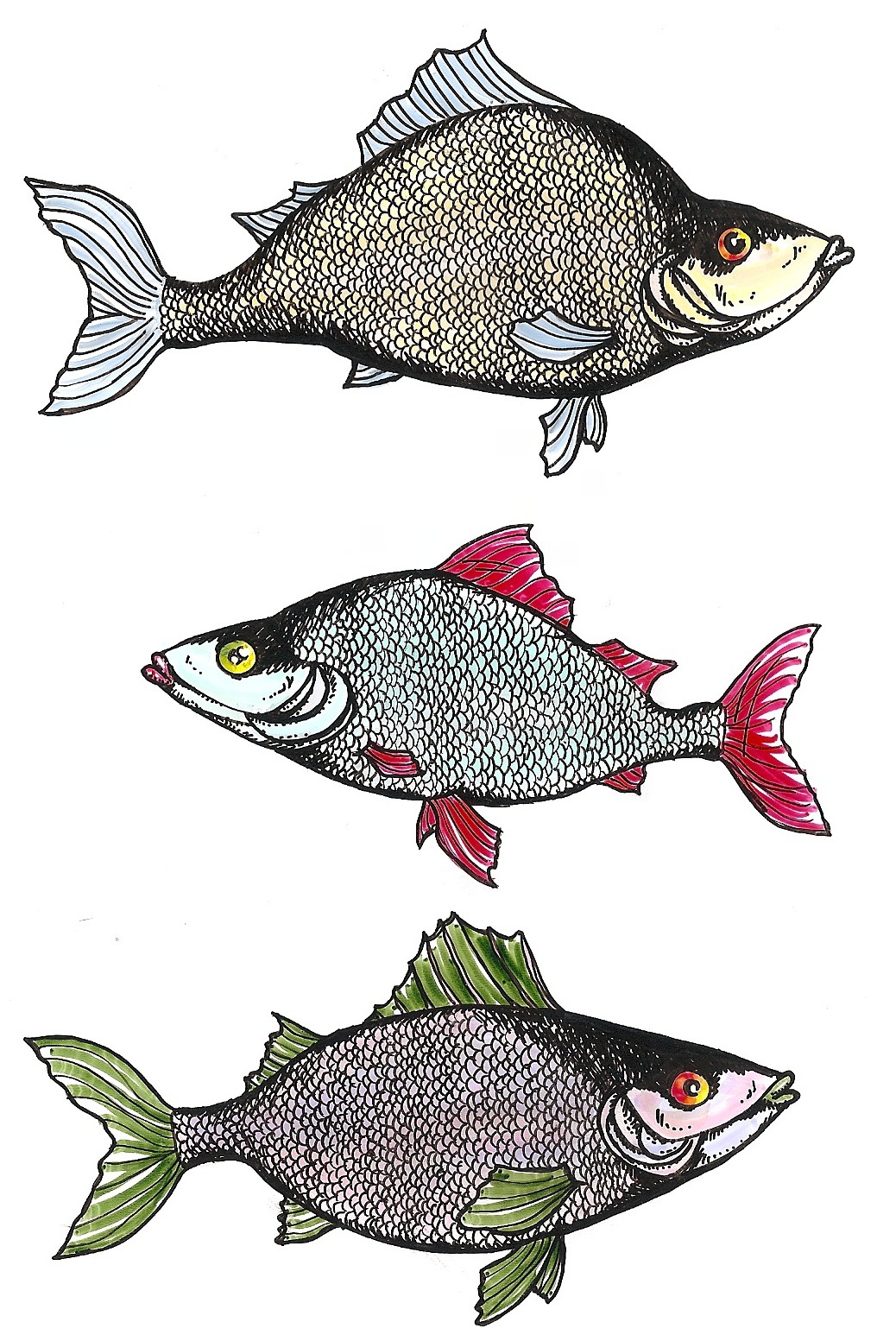 Bilderbloggeria: fiskar