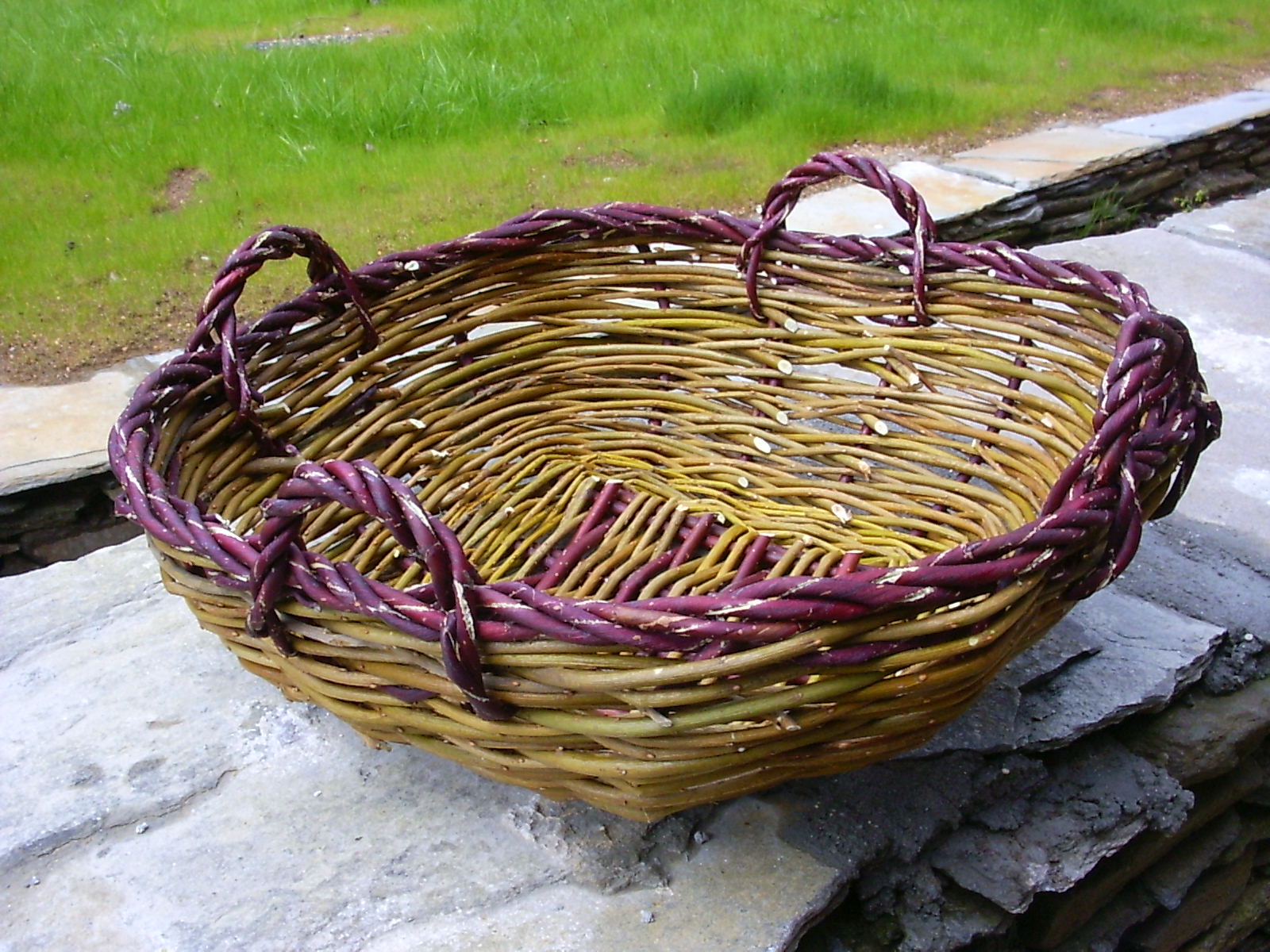 Carlos Fontales: febrero 2019