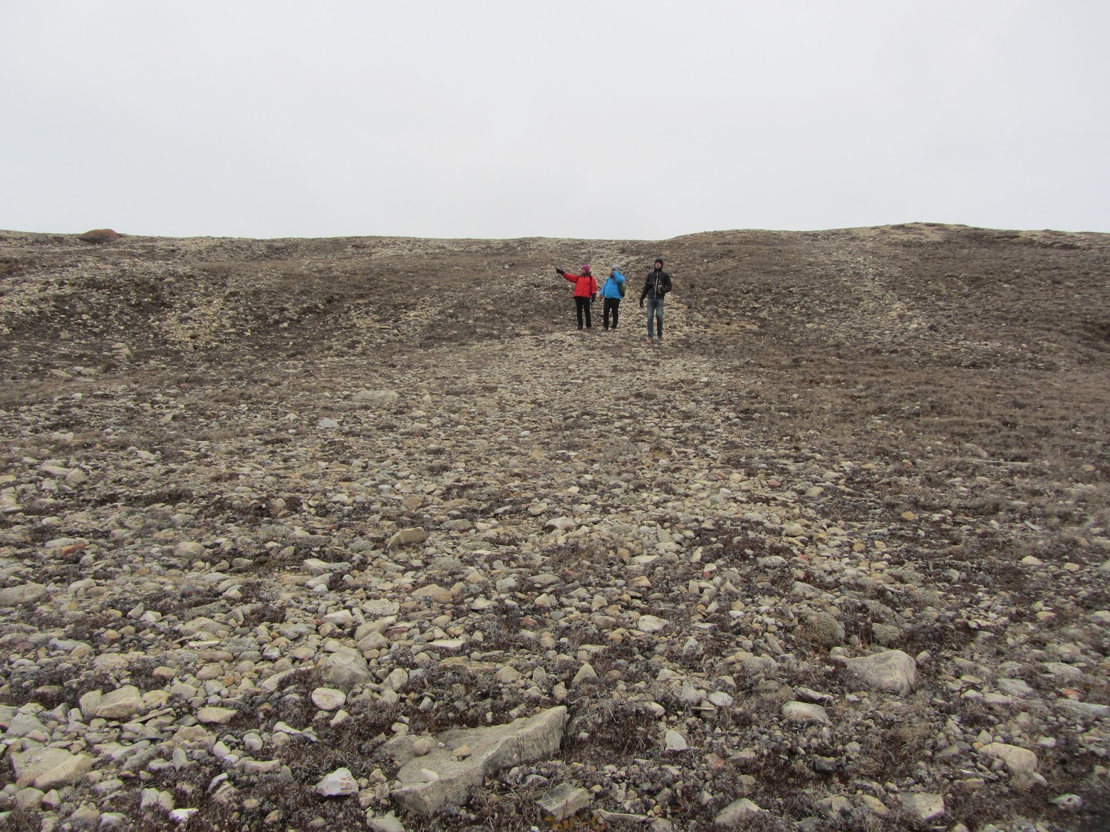 run, gloria, run!: climbing mount pelly