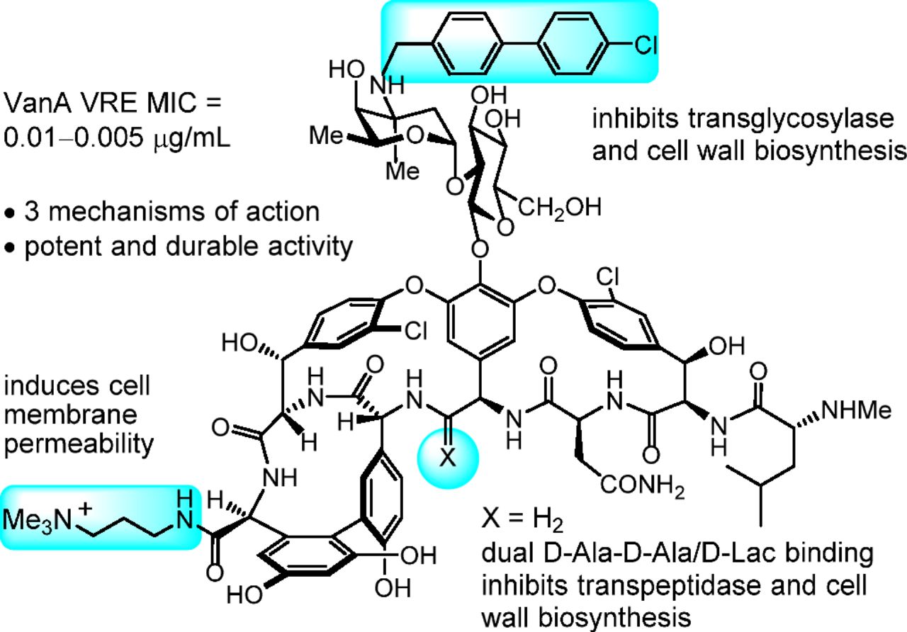 Superdrug for the Superbug