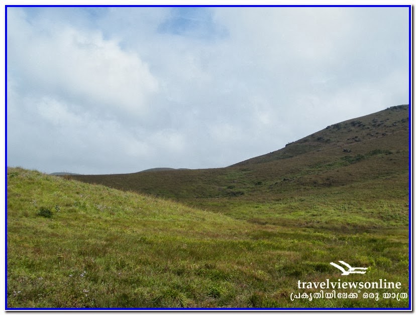 പ്രകൃതിയിലേക്ക് ഒരു യാത്ര (a travel towards NATURE): PULLUMEDU a unique ...