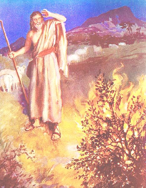 Coba-coba Bijak: Musa