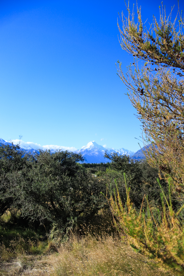 ink + adventure: Mount Cook and the "perfect" campsite