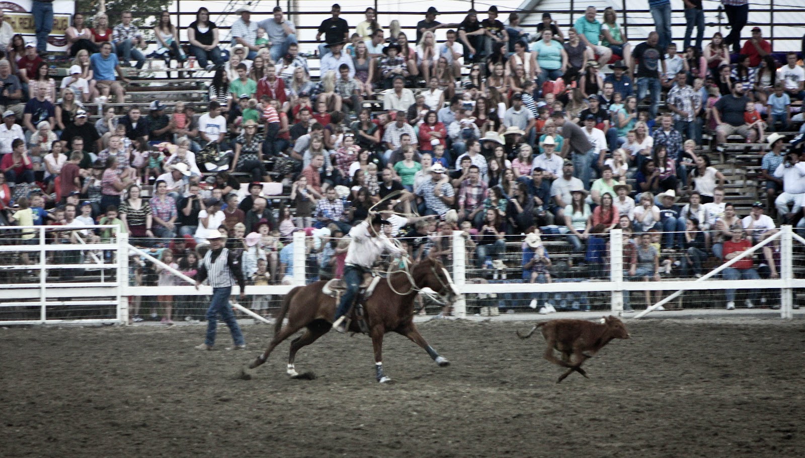 Life of Tracy: Strawberry Day's Rodeo