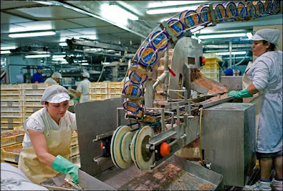 Why Tuna Fish Canning Factory Products Stay Fresh? - Tuna Canned ...