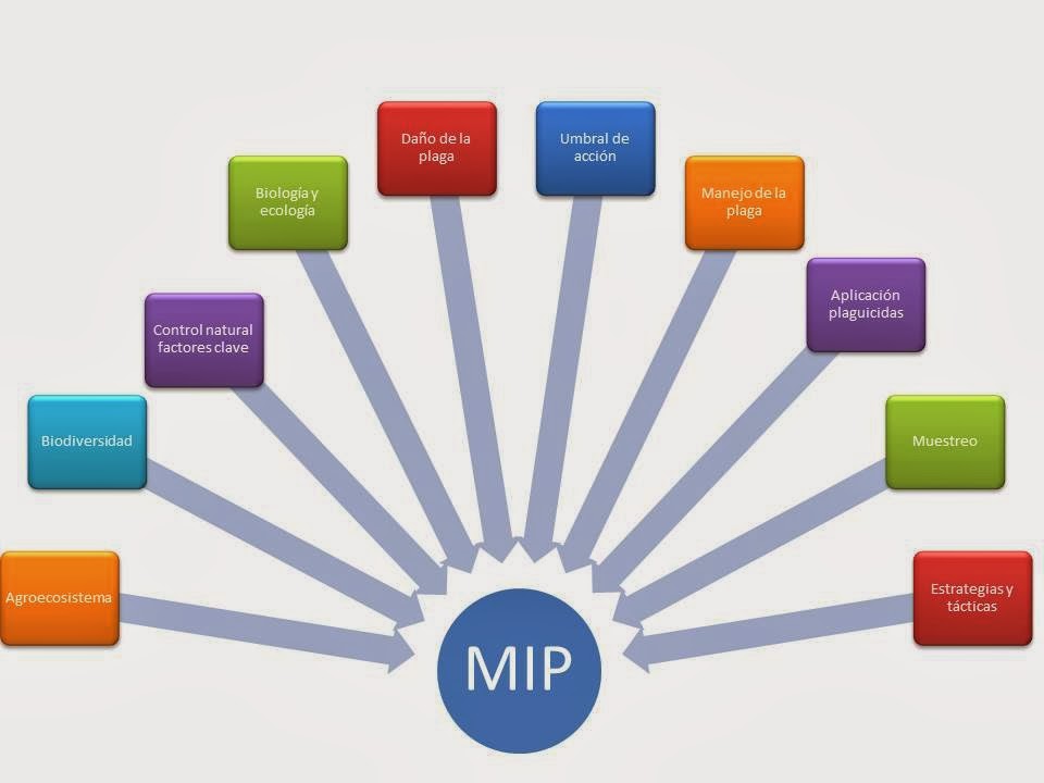 Manejo Integrado de Plagas: BASES DEL MIP