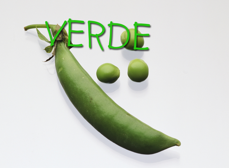 RECURSOS y ACTIVIDADES para Educación Infantil: COLOR VERDE