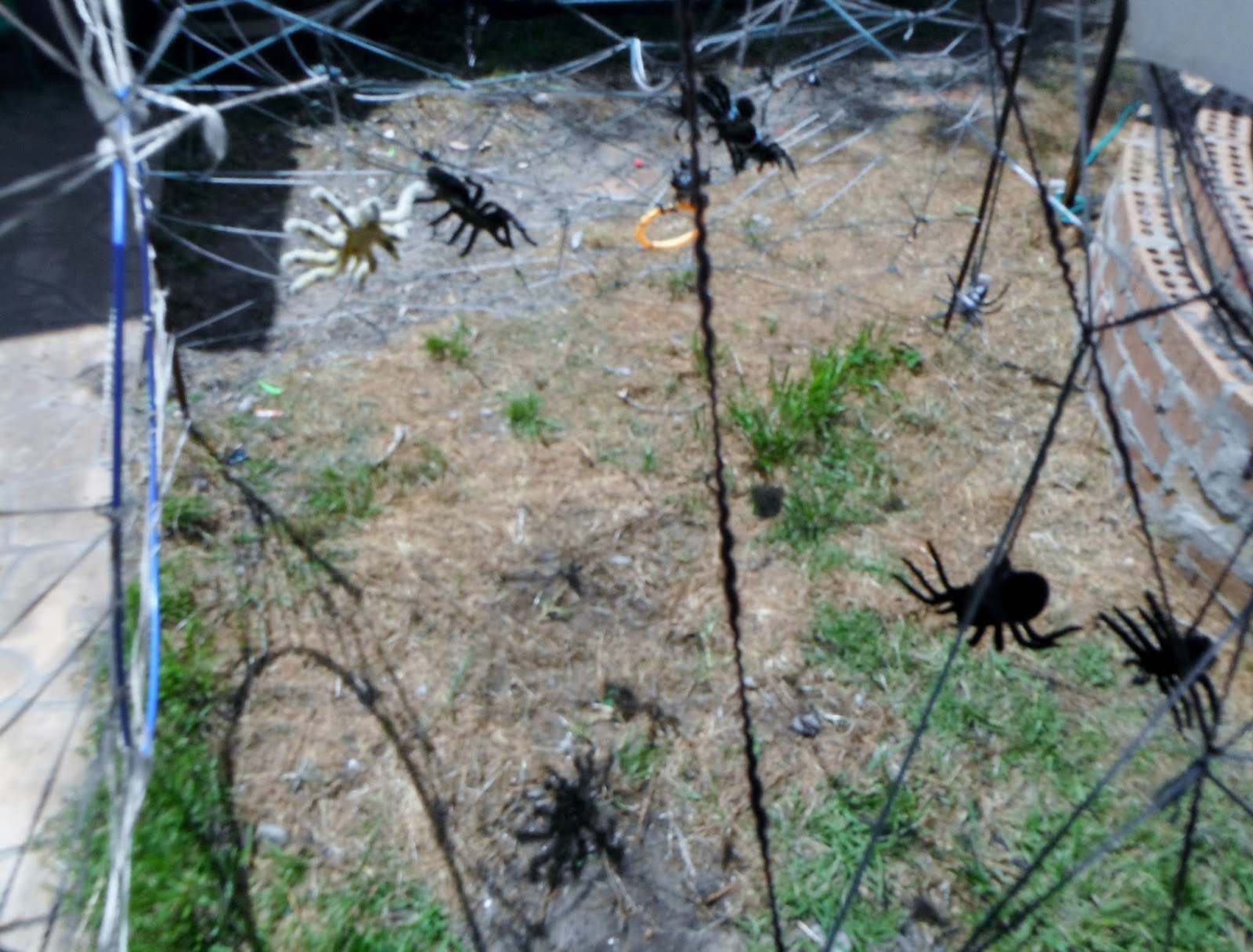 Adventures at home with Mum: Outdoor Play - The Spider Cave Maze