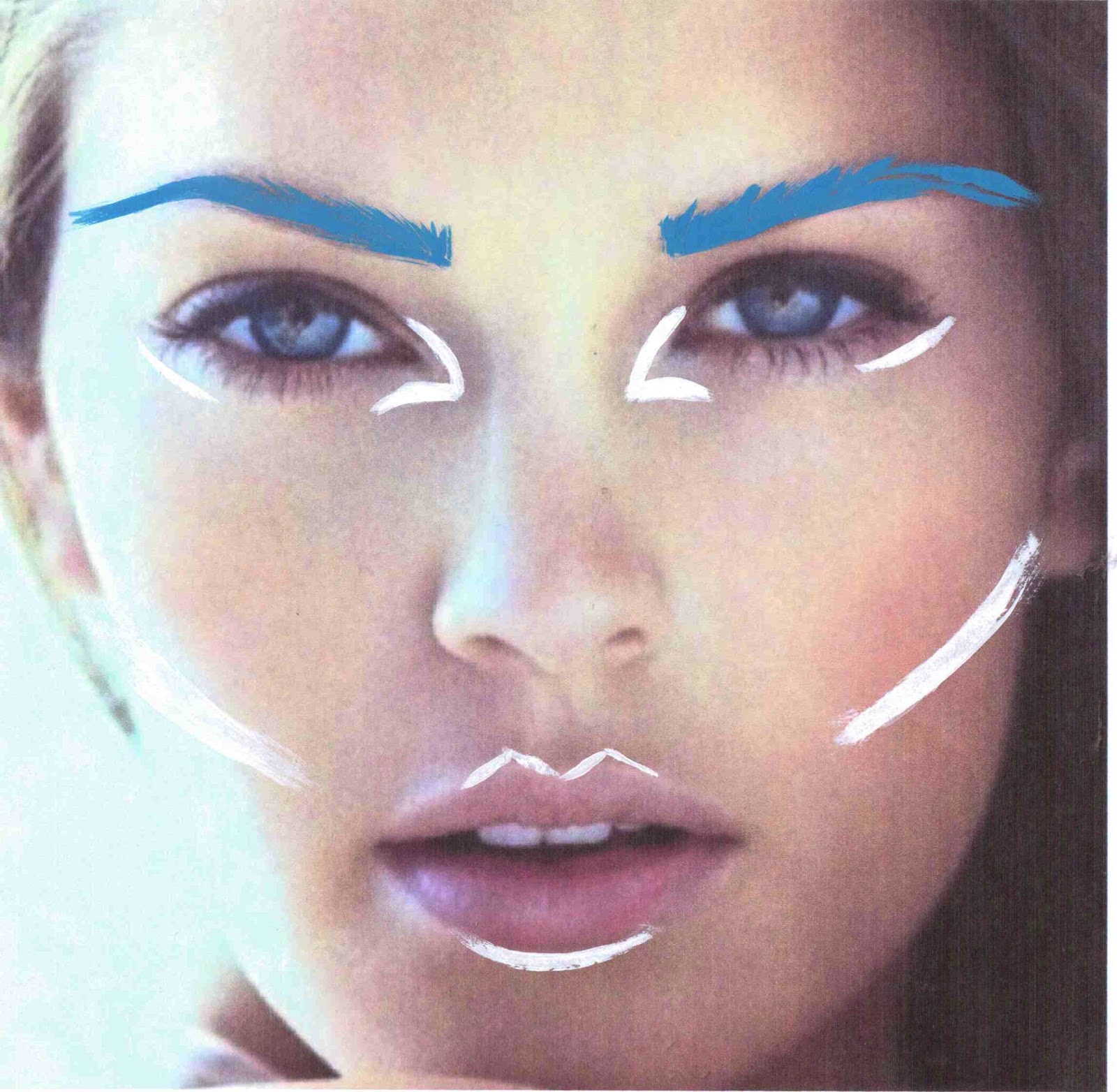 WILD KINGDOM: Catwalk: Makeup Designs