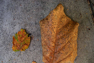 Photo Essays - Toxic Urban Landscapes - Air Pollution - Climate Change ...