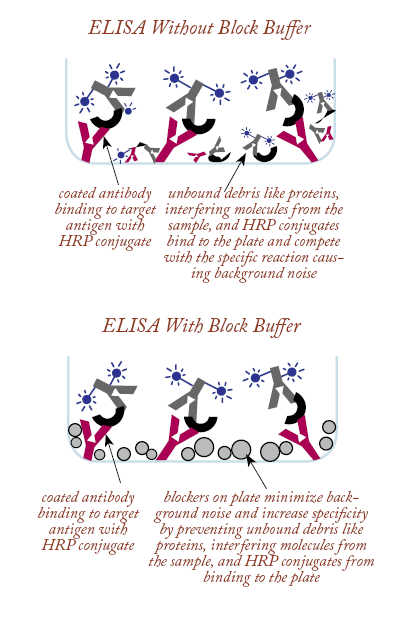 Neuromics: ELISA Blocking Buffers