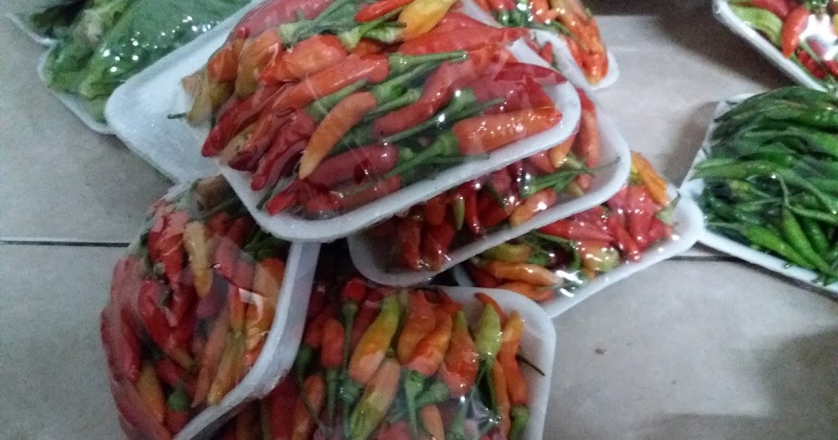 Packaging Sayuran Alim Fresh Fruit And Vegetable | Ihsan Agribisnis