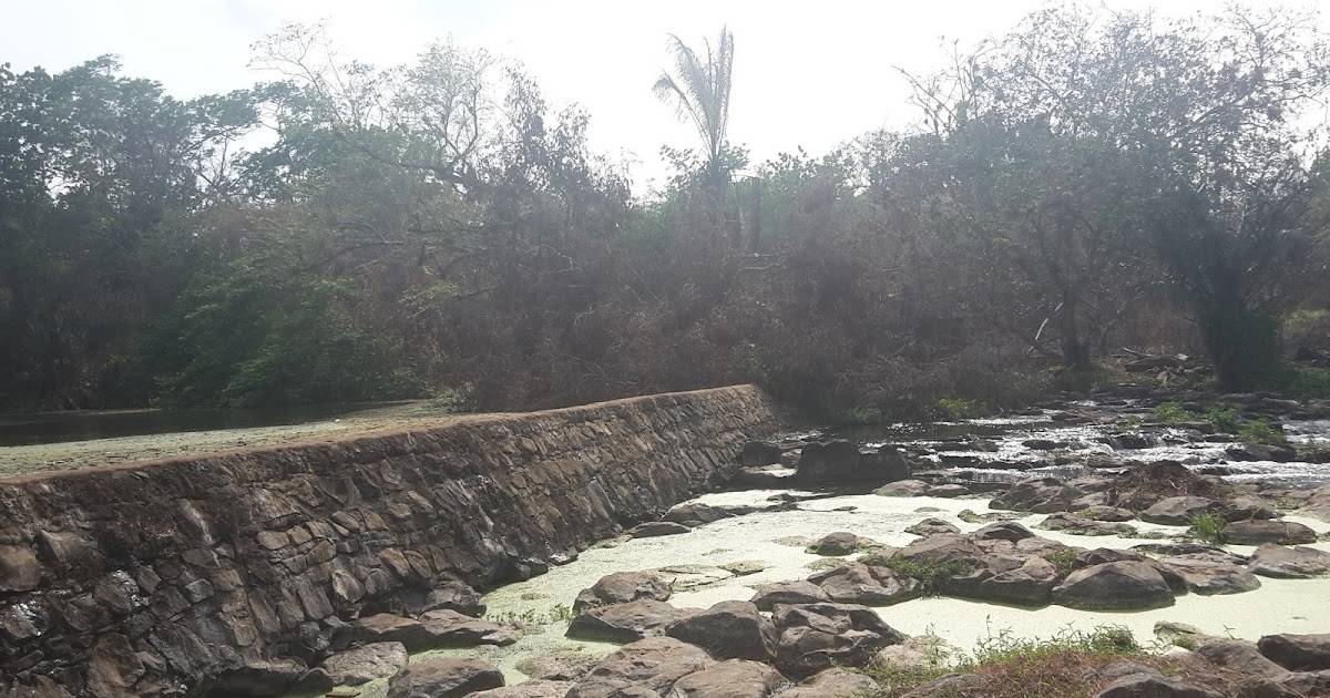 Existe una Organización que se dedica al rescate de Río Caimitillo