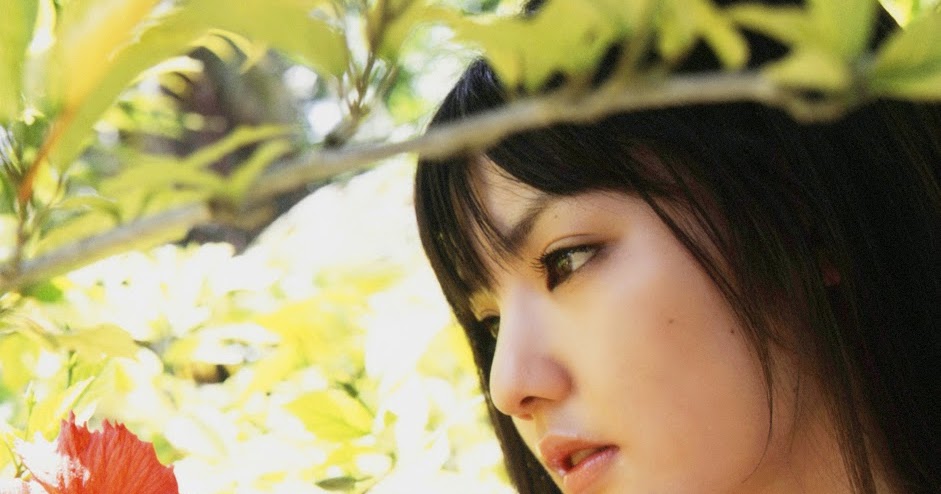 Nao Kanzaki And A Few Friends Sayumi Michishige Love Letter Photobook