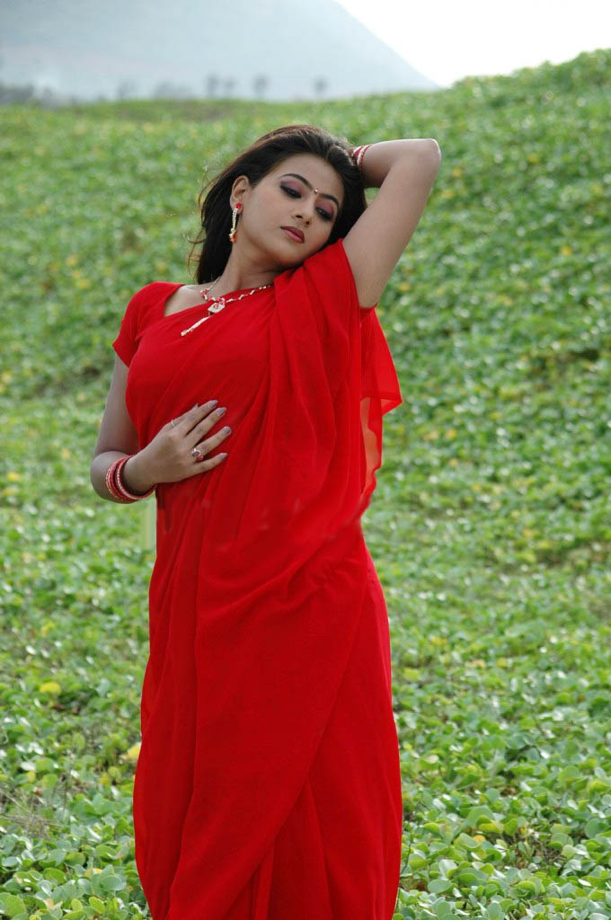 LATEST MOVIE MASALA: Aarthi Puri in Saree Spicy Photos Gallery
