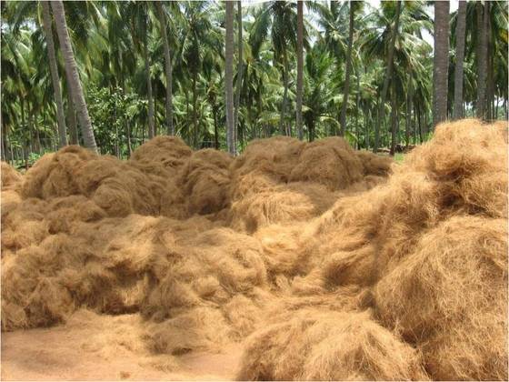 History of coconut fiber