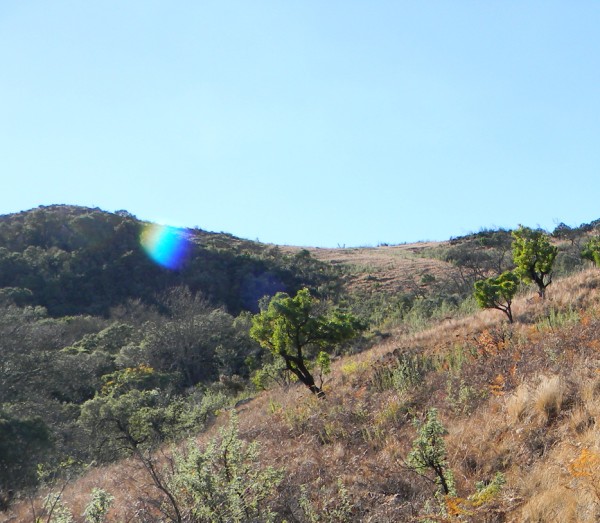 Show me your Orbs: Orb Photos and Videos