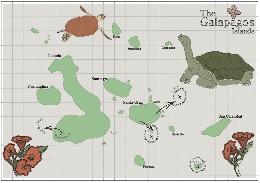 Illustrated Menagerie: Galapagos Tortoise