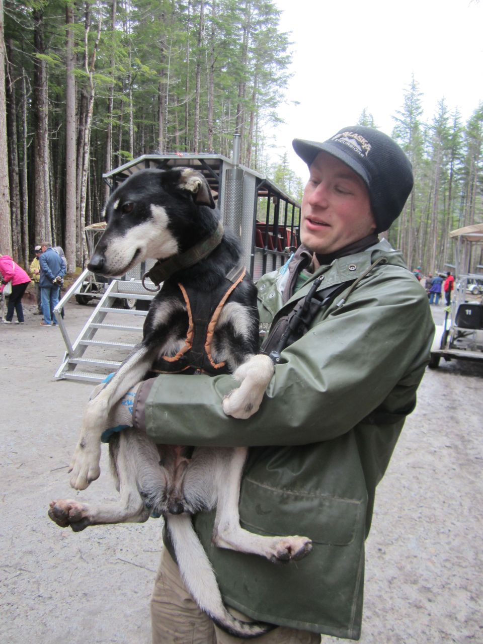 twistin sandy's blog: sled dog/musher camp - Alaska