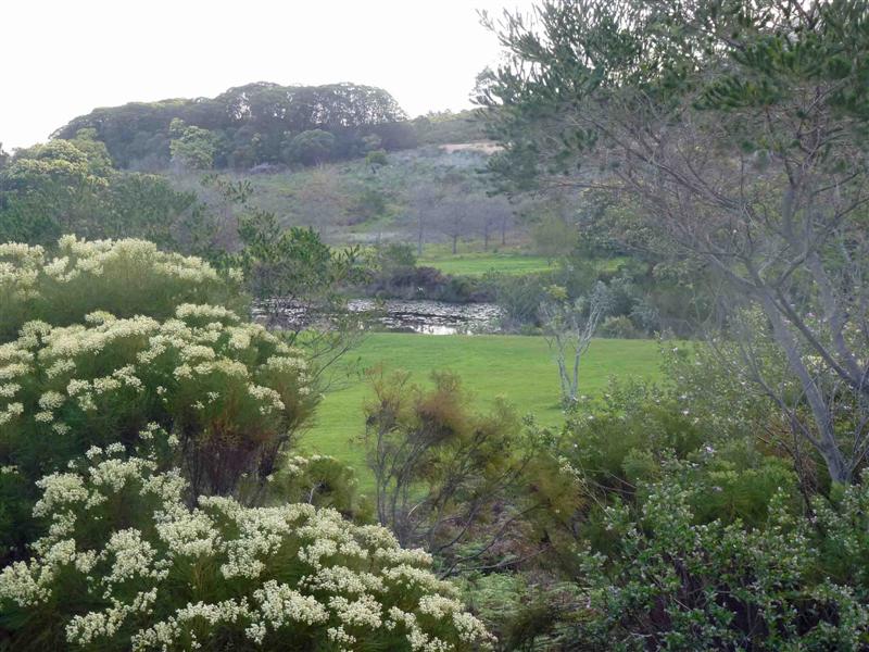 Semester at Sea Ruminations: South Africa Day 3: The Volmoed Community