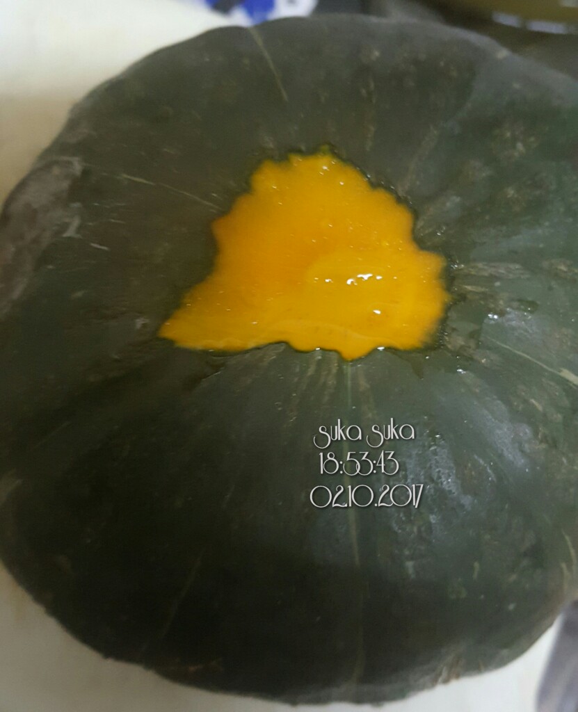 "SUKA SUKA ": Labu Jepun Cameron