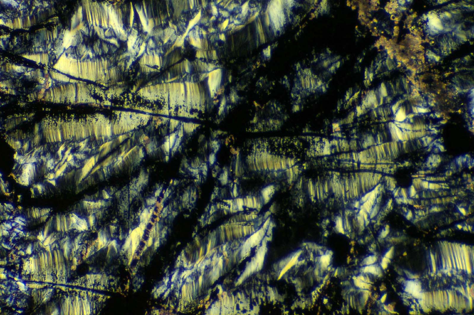 Peridotites: Deer Lake peridotite (completely serpentinized)