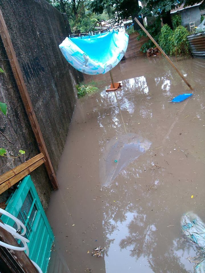 LA GENERACIÓN SIGUIENTE: [FOTOS] El Tigre de Sergio Massa, todo ...