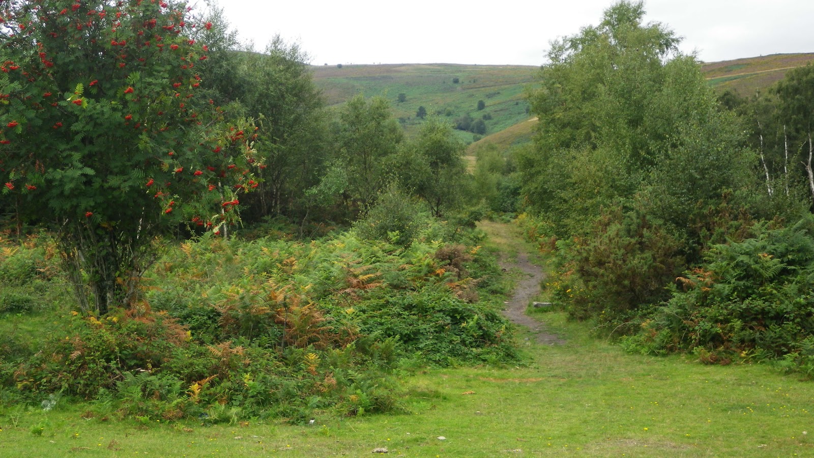 My Dartmoor Walks: Tuesday 3rd September The Templar Way