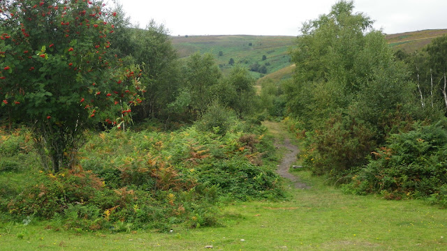 My Dartmoor Walks: Tuesday 3rd September The Templar Way