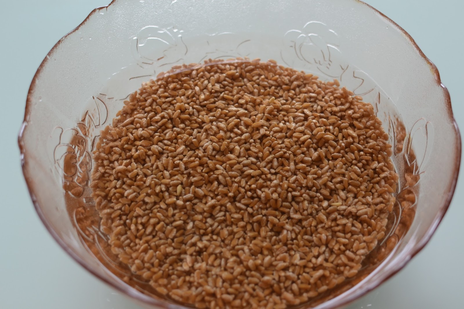 Simple Life: Home grow wheat grass
