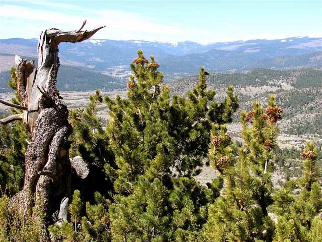 Silverthread Outdoor Recreational Club: Hiking the Agua Ramon Road