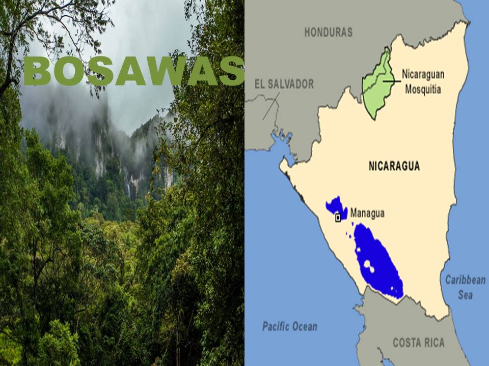 Centroamericaverde : BOSAWAS RESERVA DE BIOSFERA
