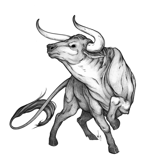 Bull Tattoo - Tattoo Design Ideas