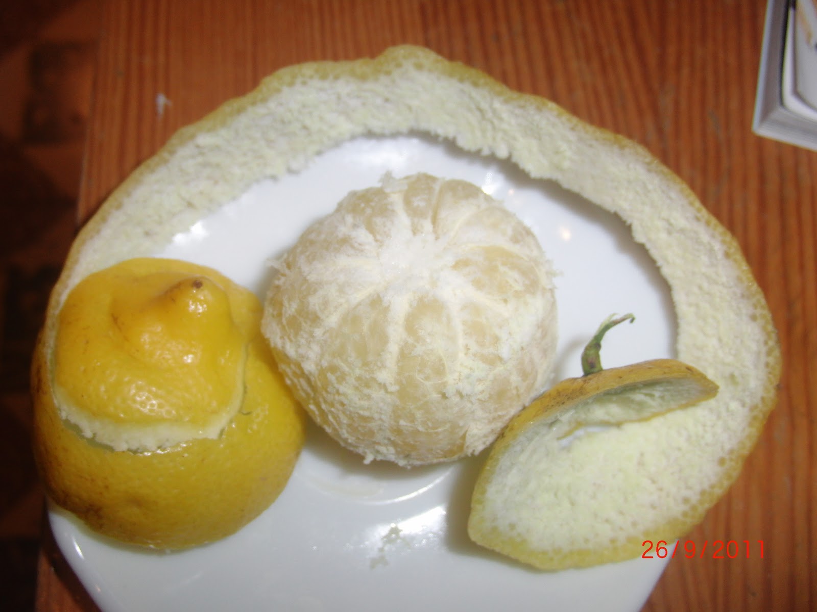 EL BLOG DE CARLOS SUAREZ....: Limeta o lima dulce (Citrus limetta Risso)