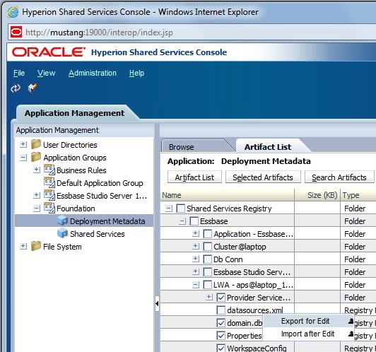 Tim Tow's Hyperion Blog: Smart View Private Connection Issue - Resolved!